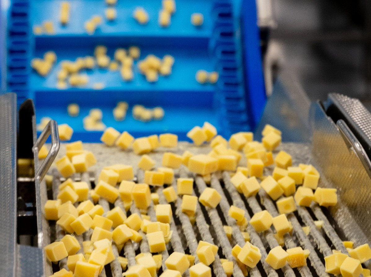 Pilot data analysis at a cheese processor | Dapp